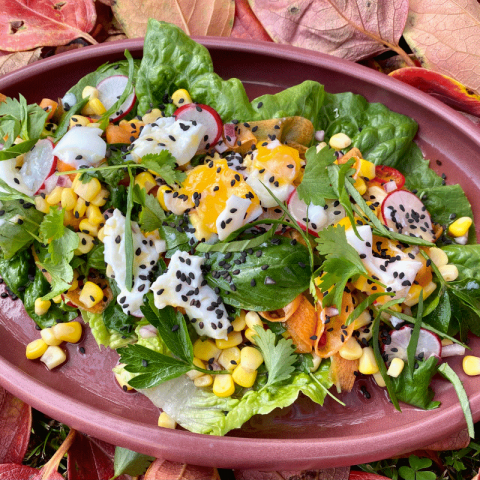 Sweet Corn Salad - Rauform Pilates and Fitness